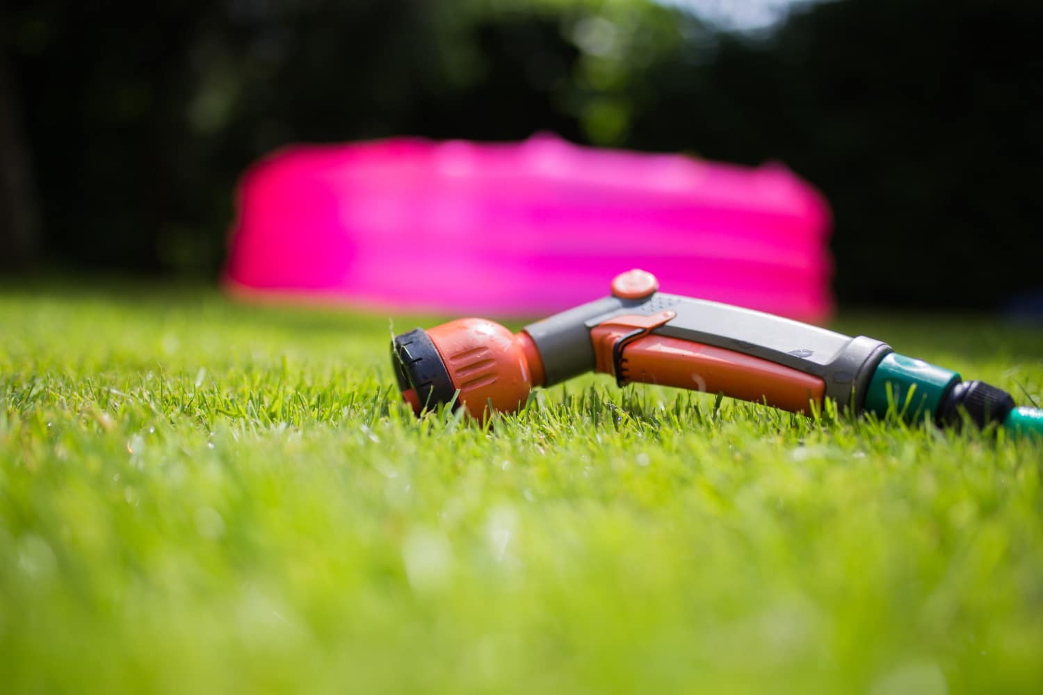 Best Time to Water Your Lawn in Summer - Luke's Landscaping Co.
